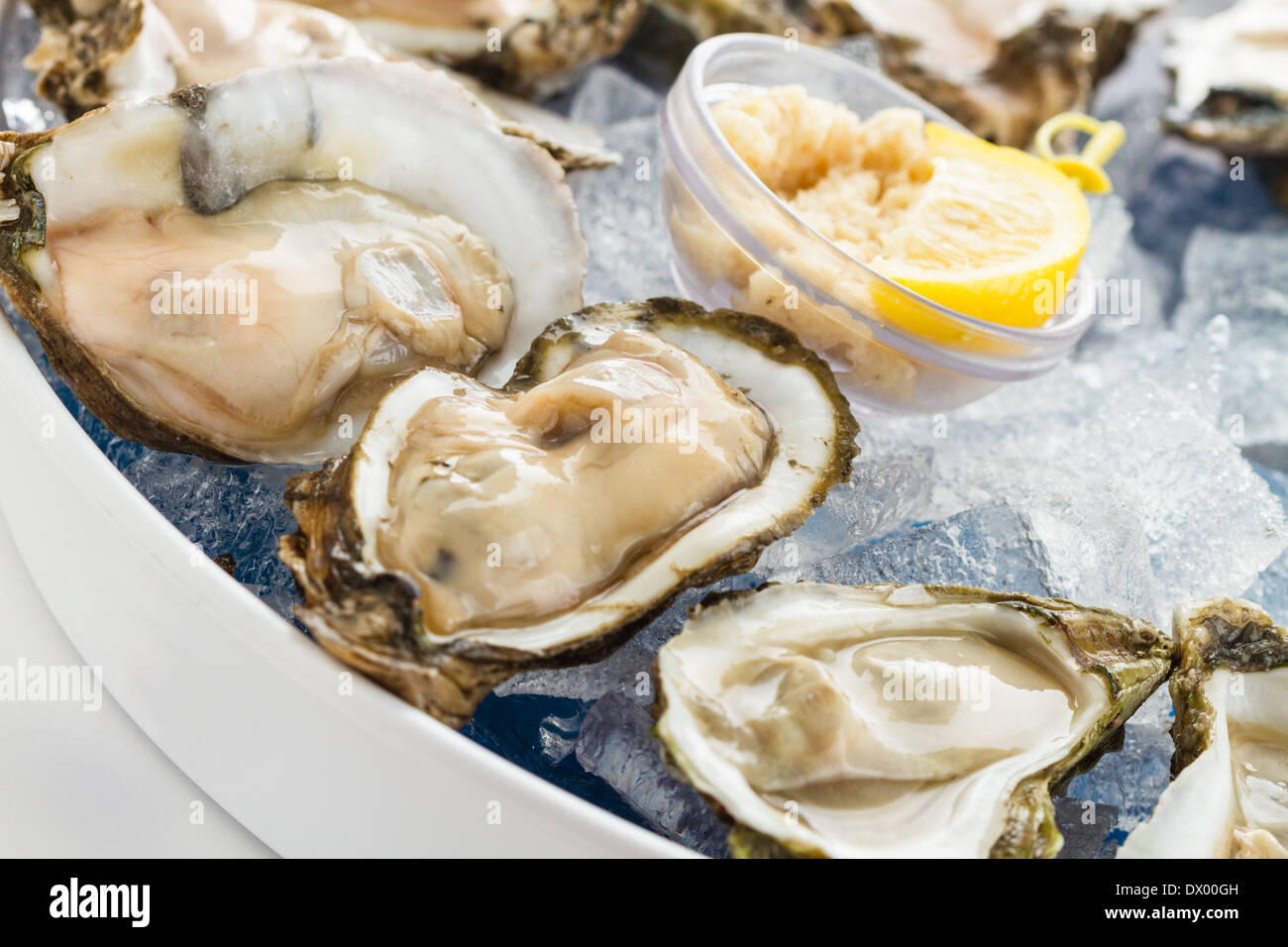 Raw oysters hi-res stock photography and images - Alamy