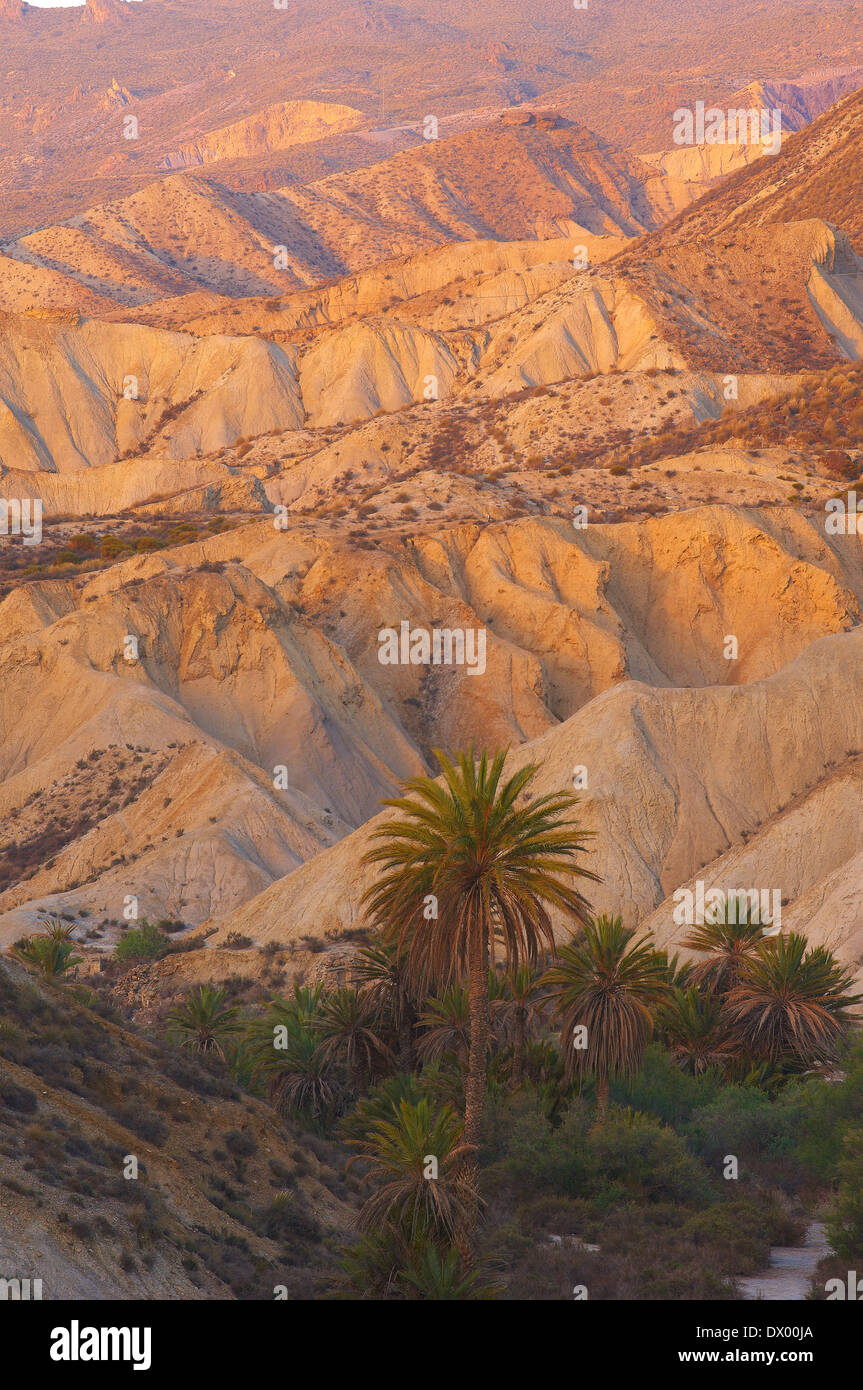 Almeria desert hi-res stock photography and images - Alamy