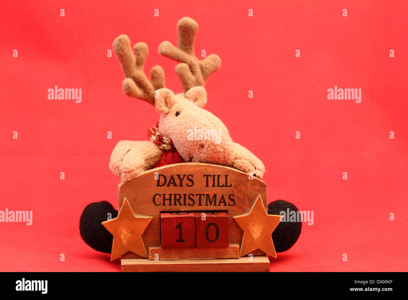 Christmas reindeer, 10 days till Christmas Stock Photo - Alamy