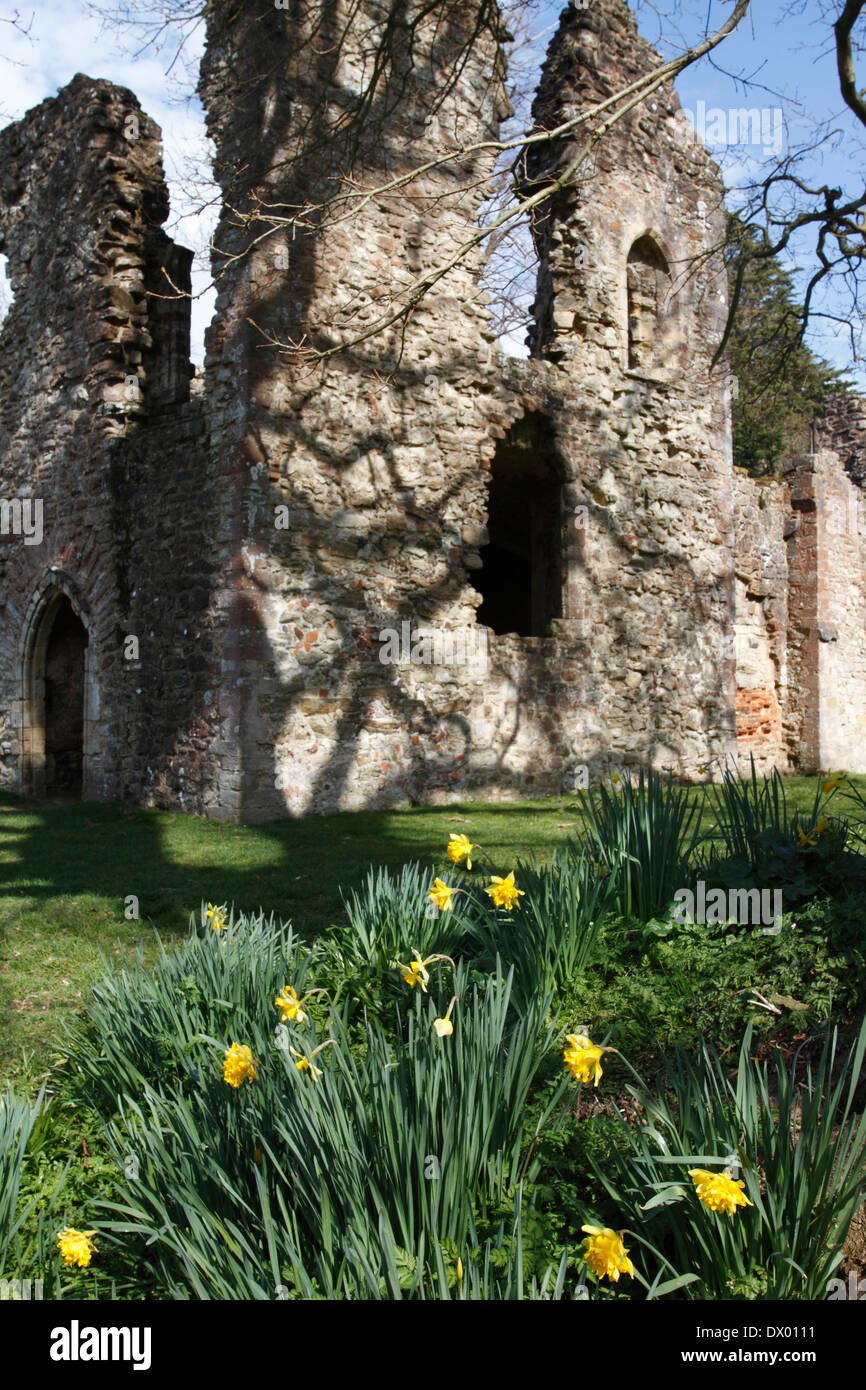Netley Abbey ruins in early spring Stock Photo - Alamy