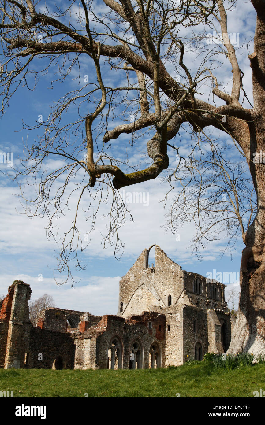 Netley Abbey ruins in early spring Stock Photo - Alamy