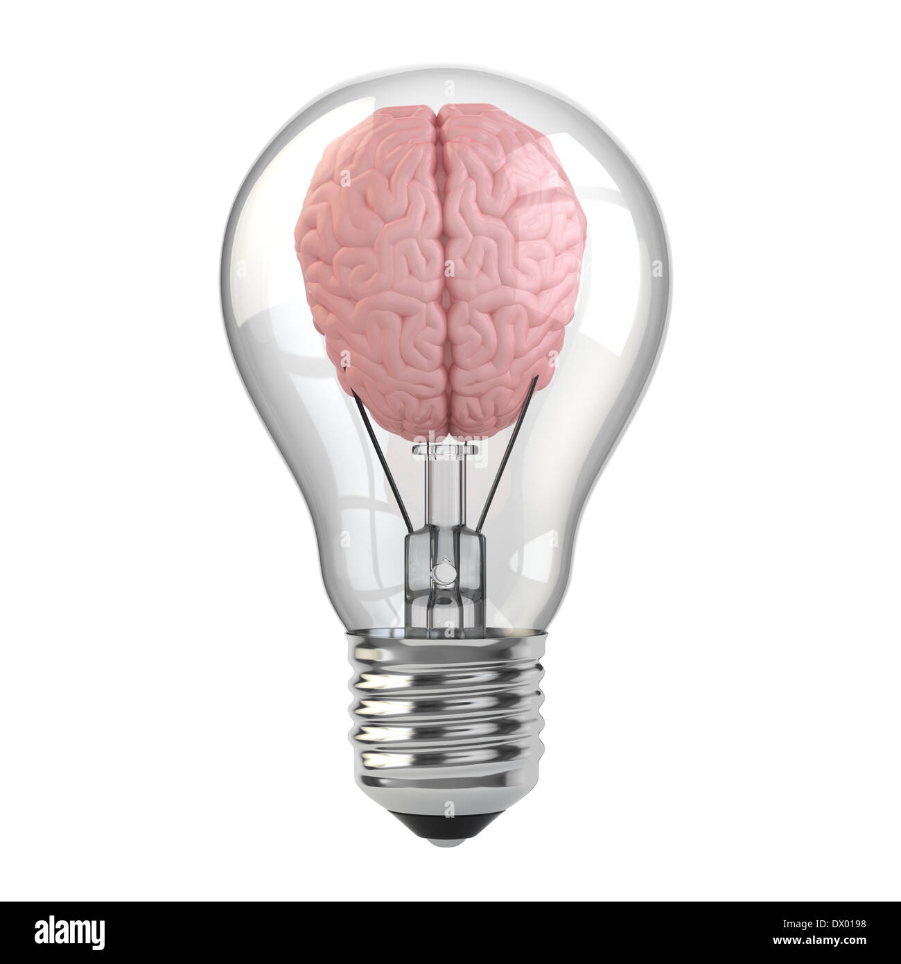 Idea concept. Brain in the light bulb. 3d Stock Photo: 67613204 - Alamy