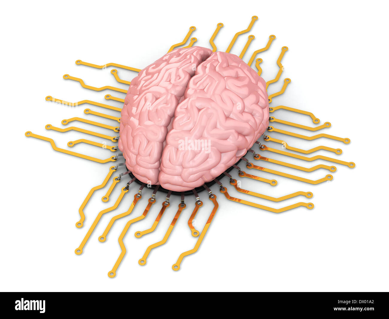 Human brain as computer chip. Concept of CPU. 3d Stock Photo - Alamy