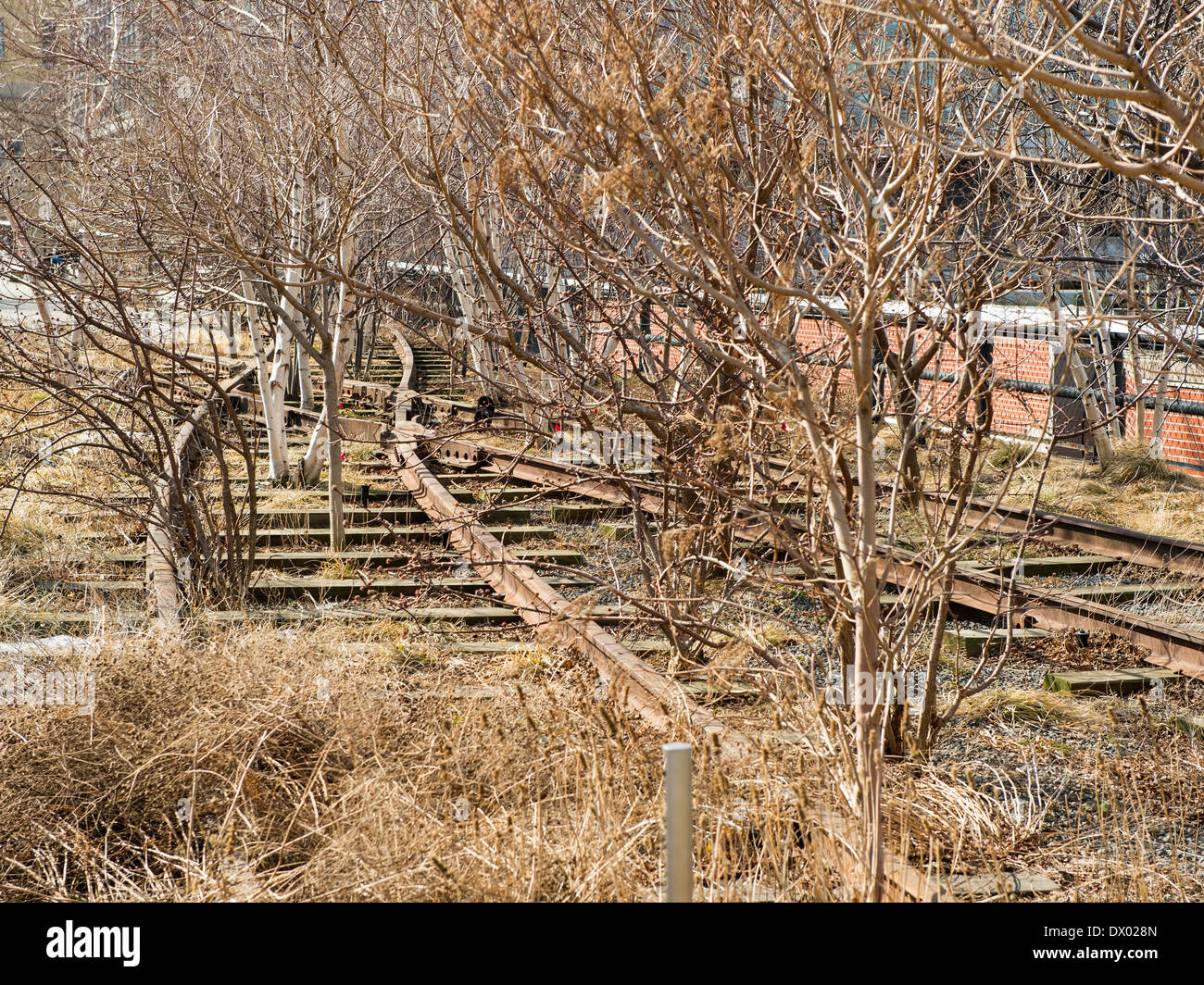 View of New York's High Line Park, created on a disused stretch of ...