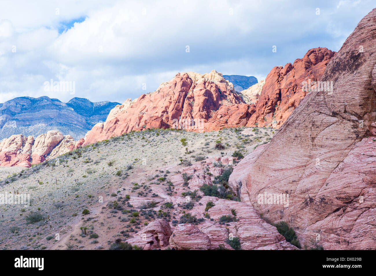 The Red Rock canyon near las vegas , Nevada Stock Photo - Alamy