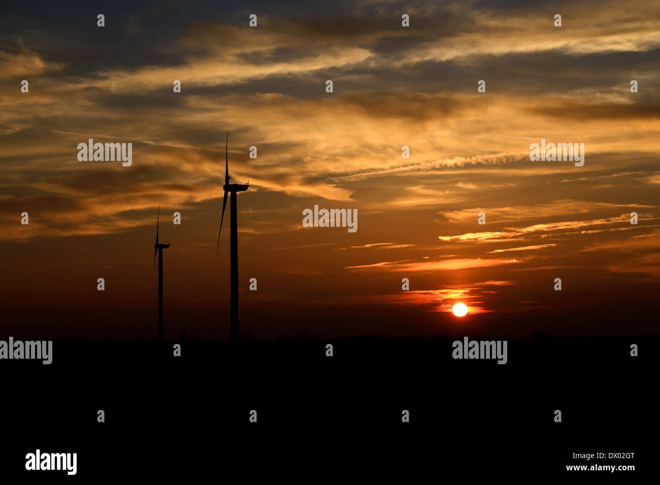 Backlight and gold environment hi-res stock photography and images - Alamy