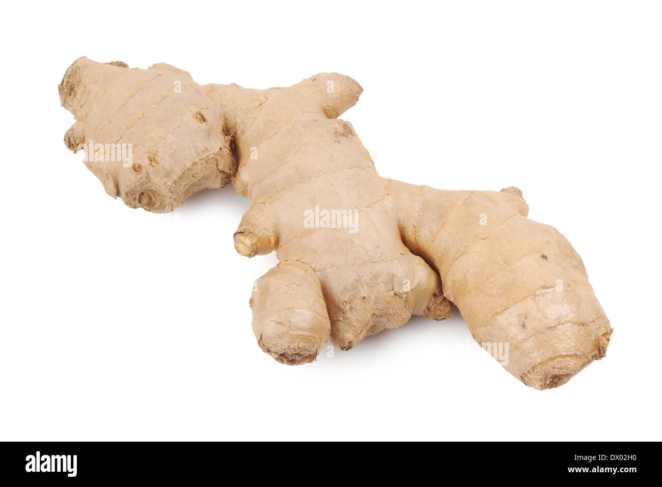 ginger on white background Stock Photo - Alamy