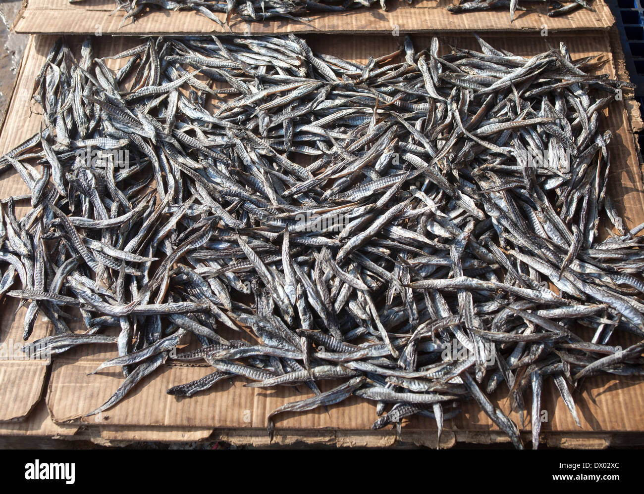 Dried Fish Stall at My Tho Town Market Vietnam Stock Photo - Alamy