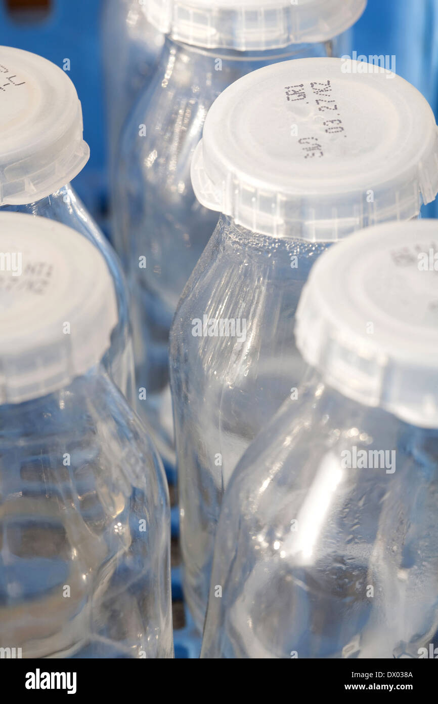 Empty milk bottles Stock Photo - Alamy