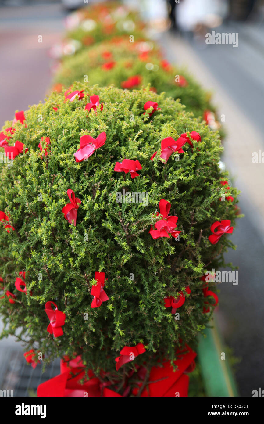 Decorated plant and ribbons hi-res stock photography and images - Alamy