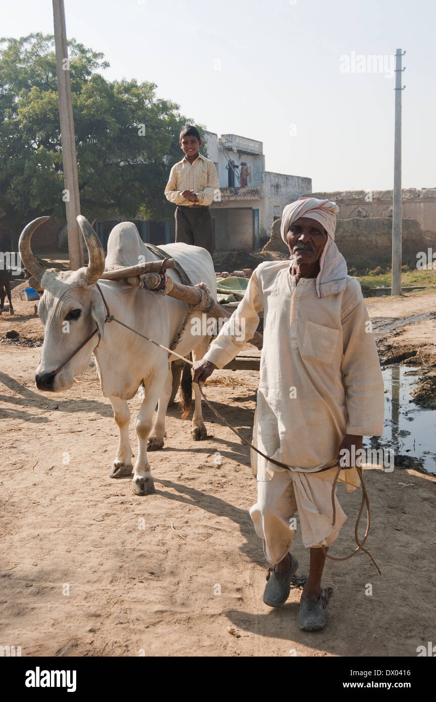 Child labour pulling cart india hi-res stock photography and images - Alamy