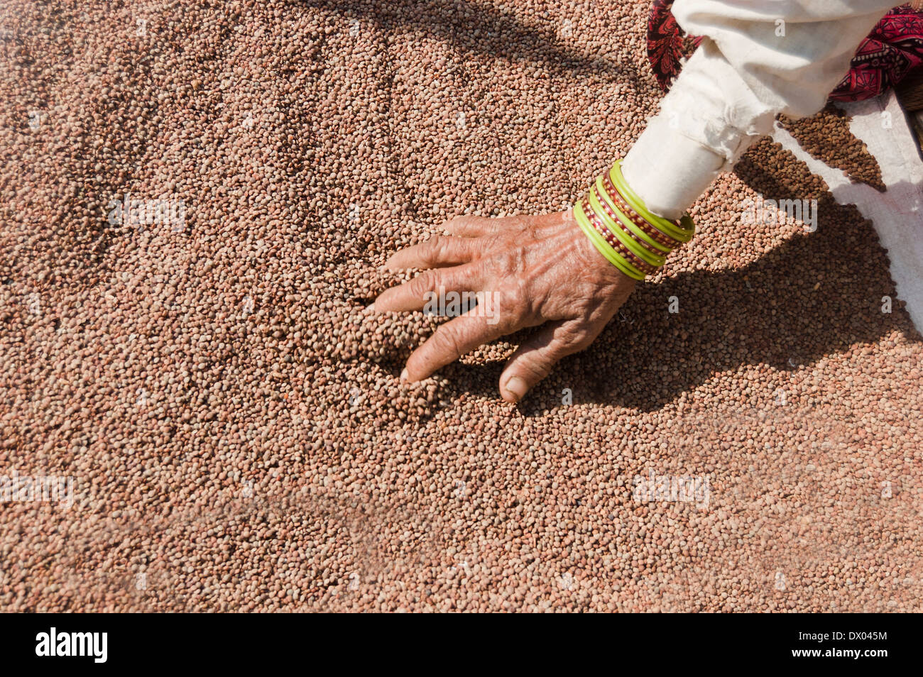 Old woman drying grains hi-res stock photography and images - Alamy