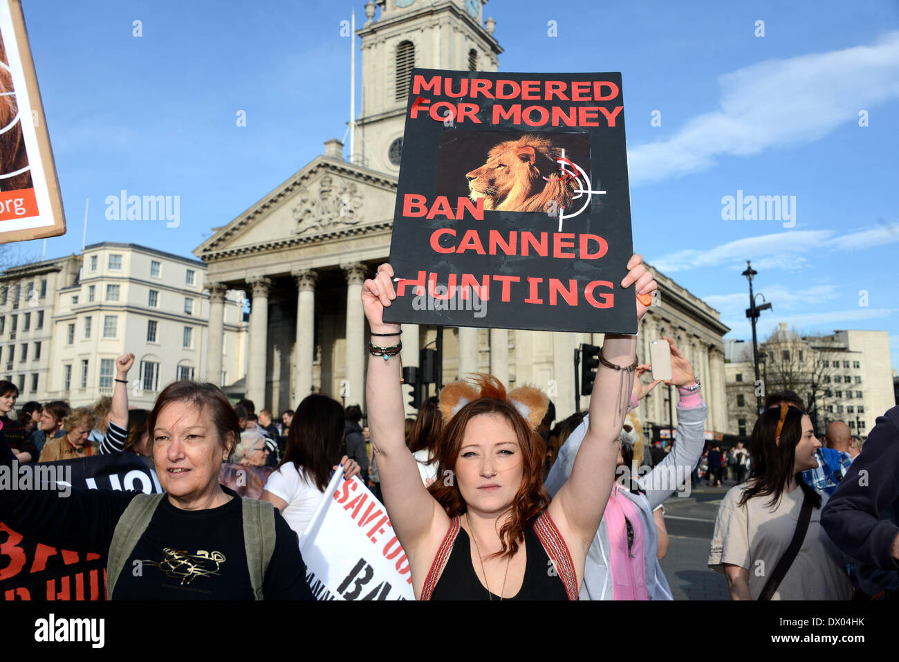 Lion hunting protest south africa hi-res stock photography and images ...