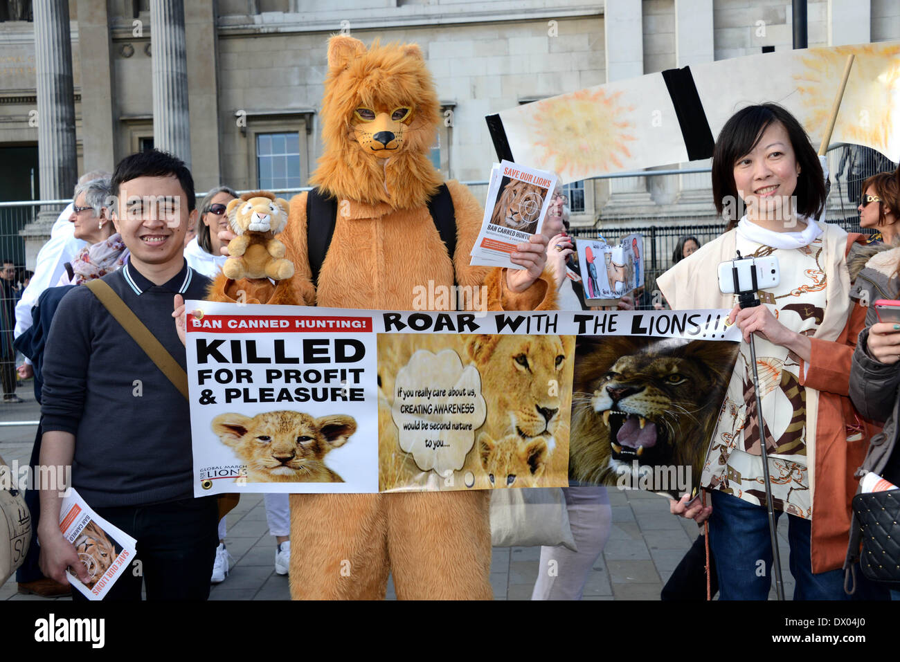 Lion hunting protest south africa hi-res stock photography and images ...