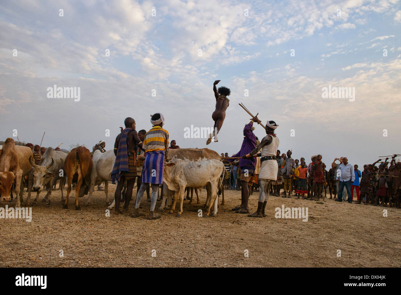 Hamer man at a bull jumping ceremony near Turmi in the Omo Valley Stock ...