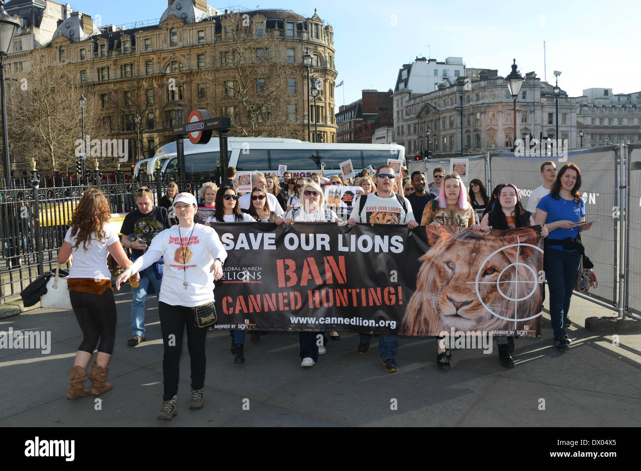 Lion hunting protest south africa hi-res stock photography and images ...