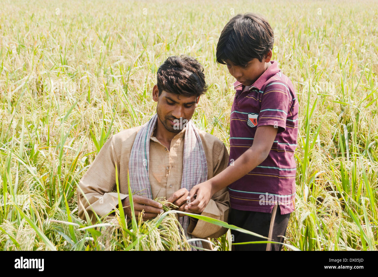 Farmer kid hi-res stock photography and images - Alamy