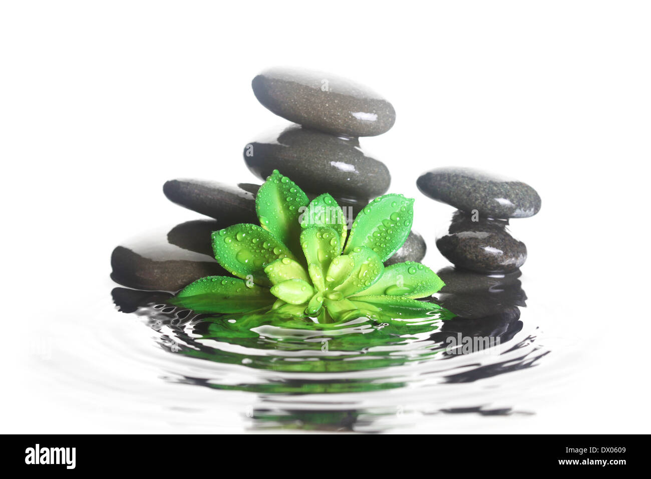 Stones in water Stock Photo - Alamy