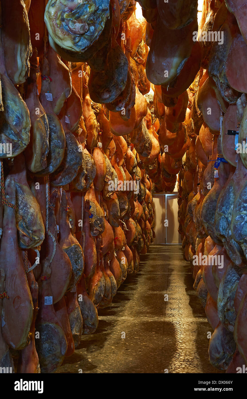 Cured ham trevelez andalusia spain hi-res stock photography and images ...