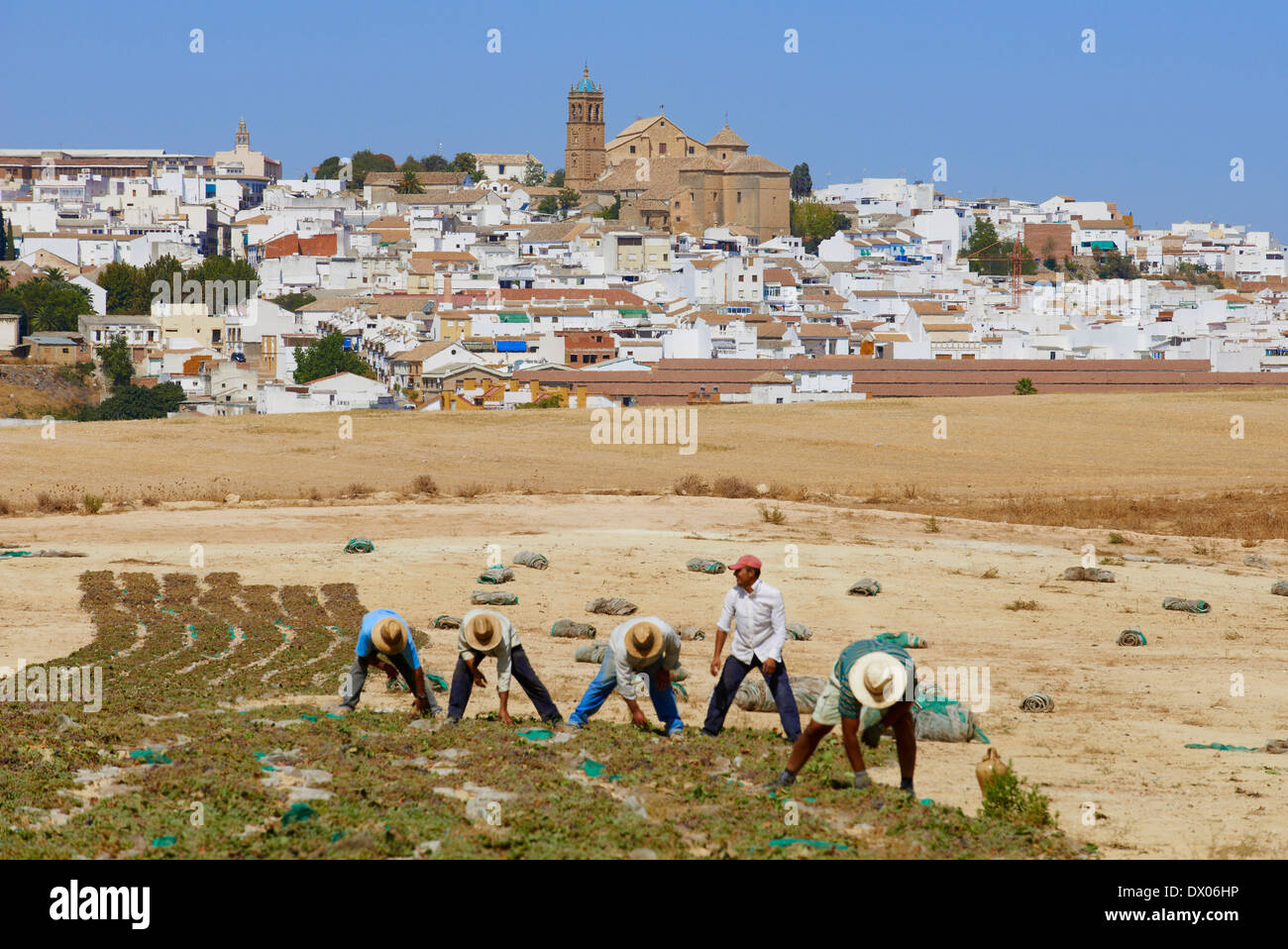 Ximenez hi-res stock photography and images - Alamy