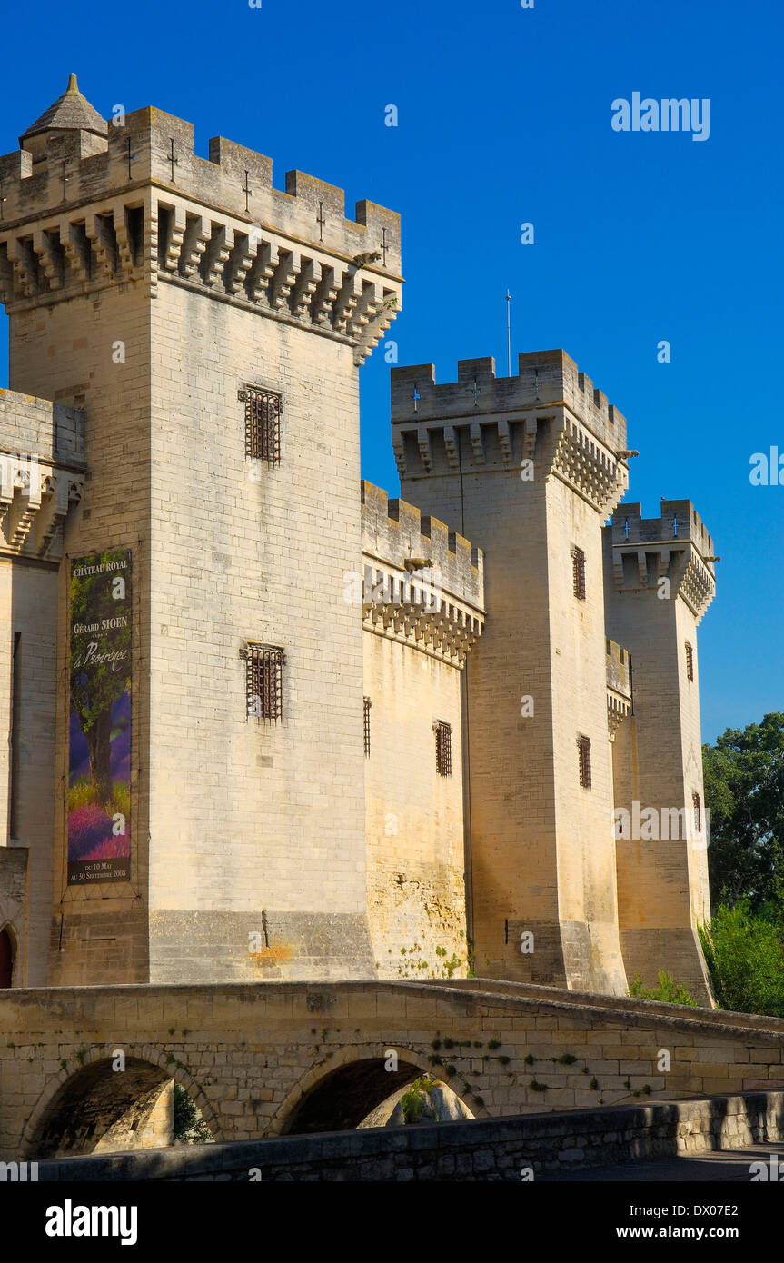 Tarascon Castle, Tarascon Stock Photo - Alamy