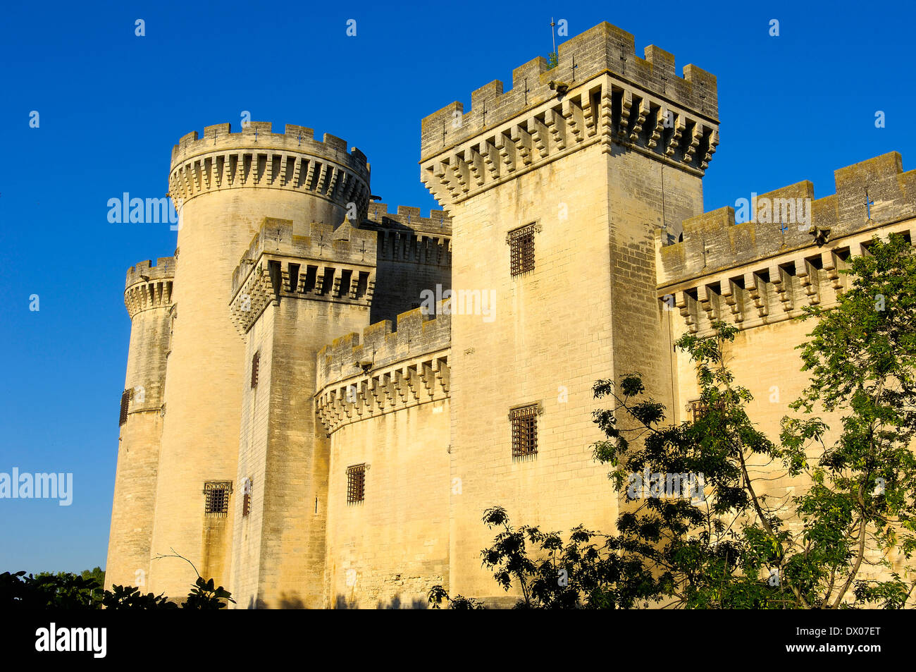 Tarascon Castle, Tarascon Stock Photo - Alamy