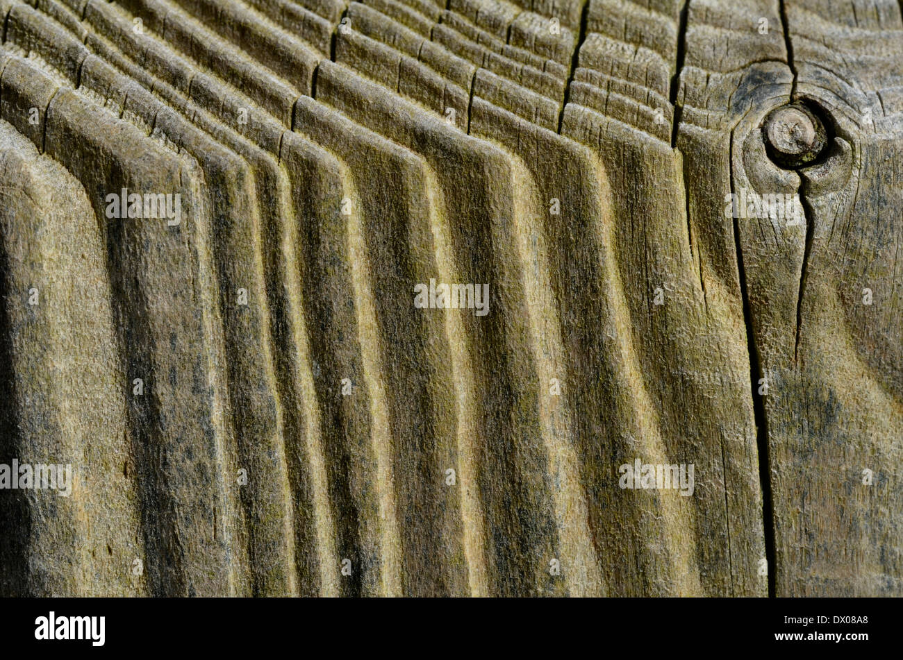 Leading top edge of a square fencing post showing the results of years ...
