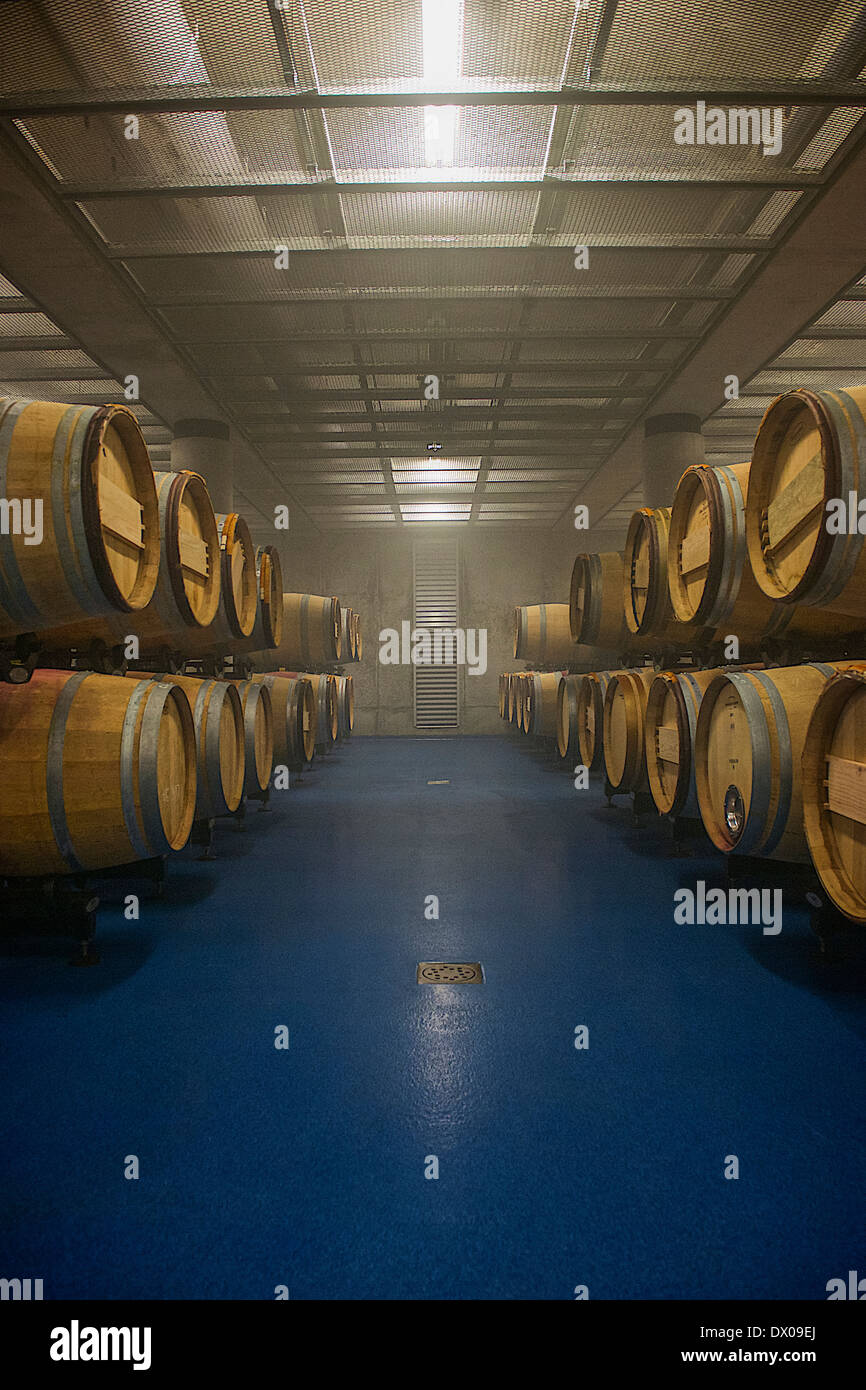 Winery barrels hi-res stock photography and images - Alamy
