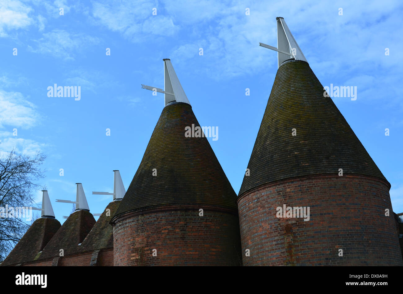 Kent Oast House's Stock Photo - Alamy