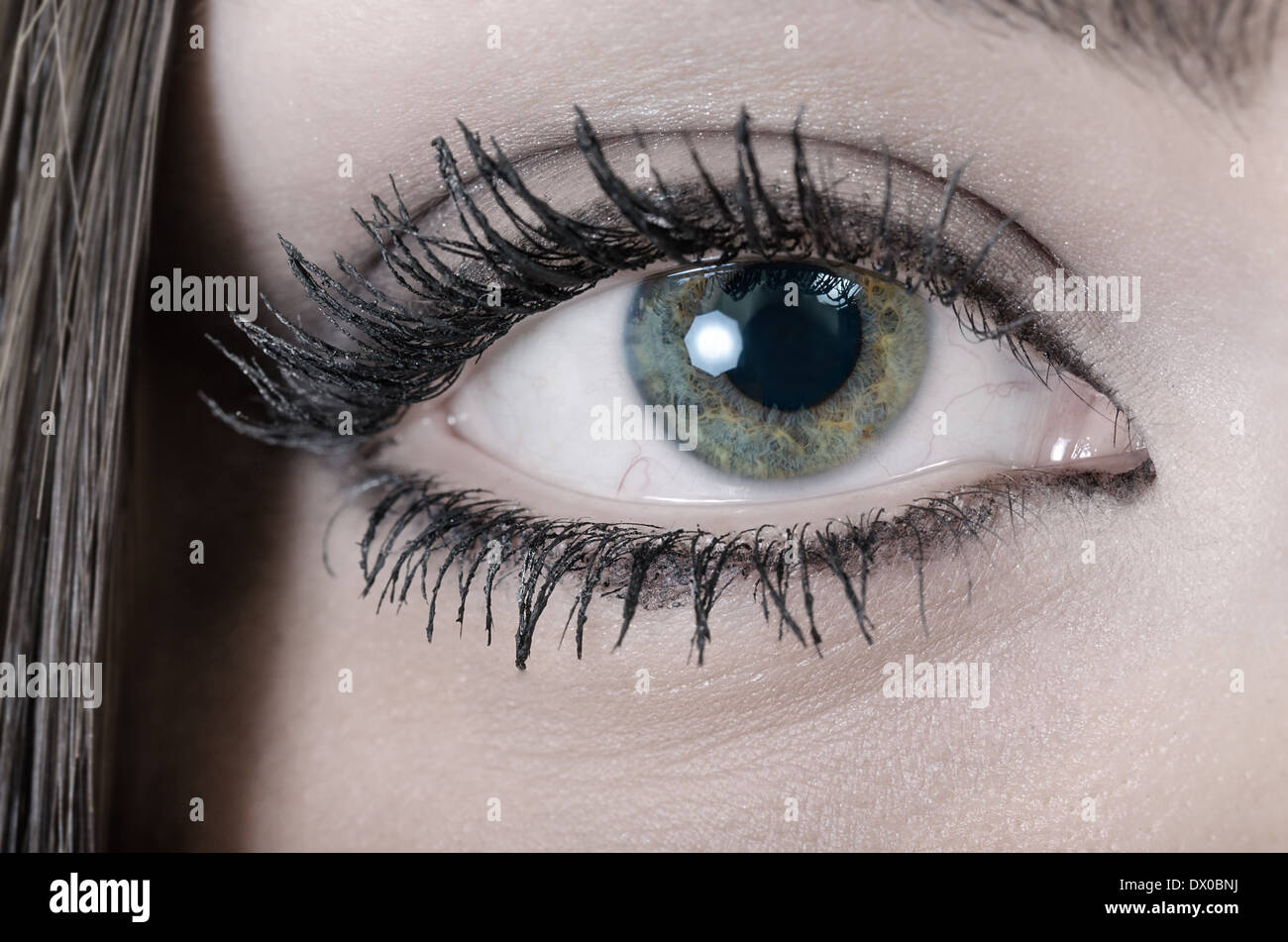 Close-up of a young woman's Green Eye, horizontal shoot Stock Photo - Alamy