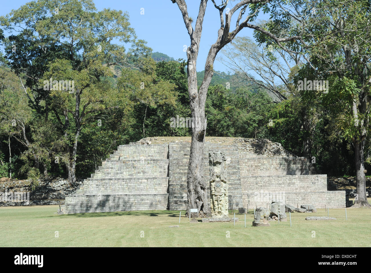 The Mayan ruins of Copan on Honduras Stock Photo - Alamy