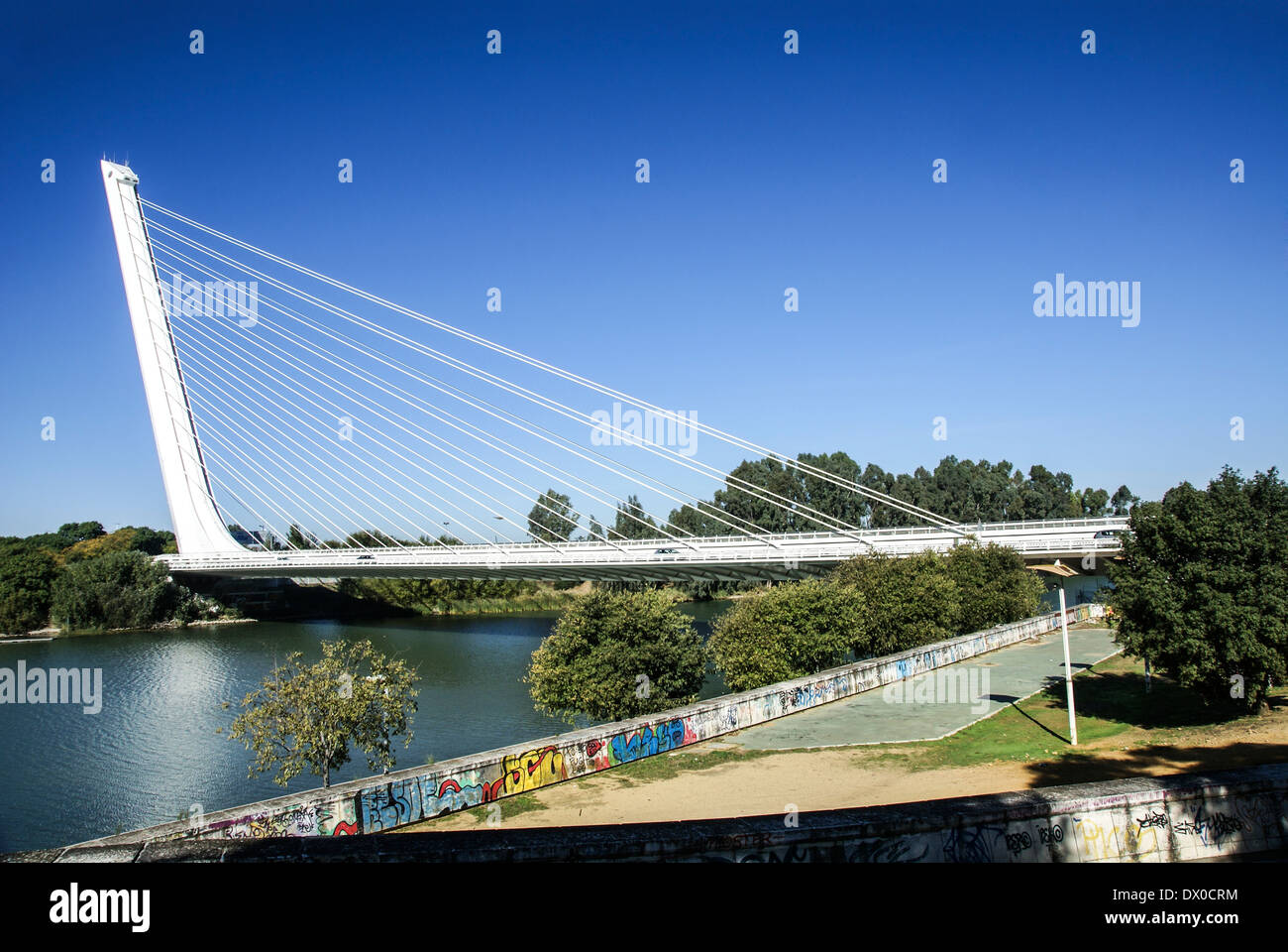Alamillo Bridge Seville, Andalucia, Spain. Architect Santiago Calatrava ...