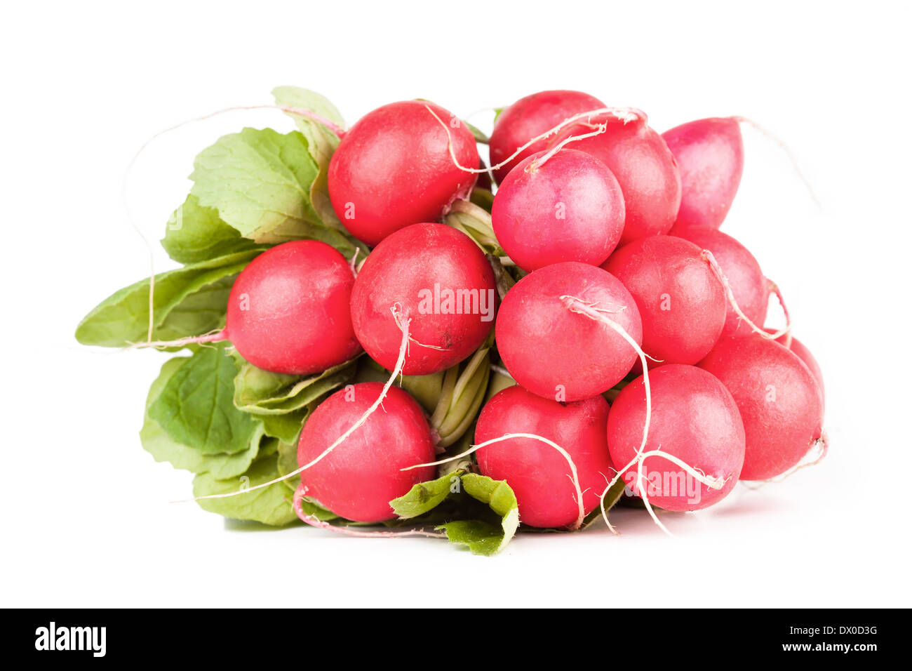 Pile of garden radish, closeup on white background Stock Photo - Alamy