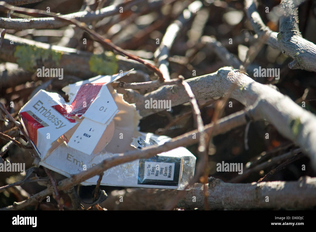 Discarded cigarette packet on a nature reserve in Weymoyth,Dorset Stock ...