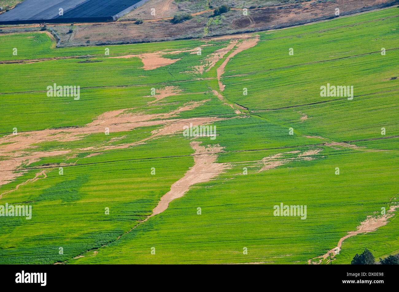 Aerial view of Sharon District, Israel from within a Cessna airplane ...