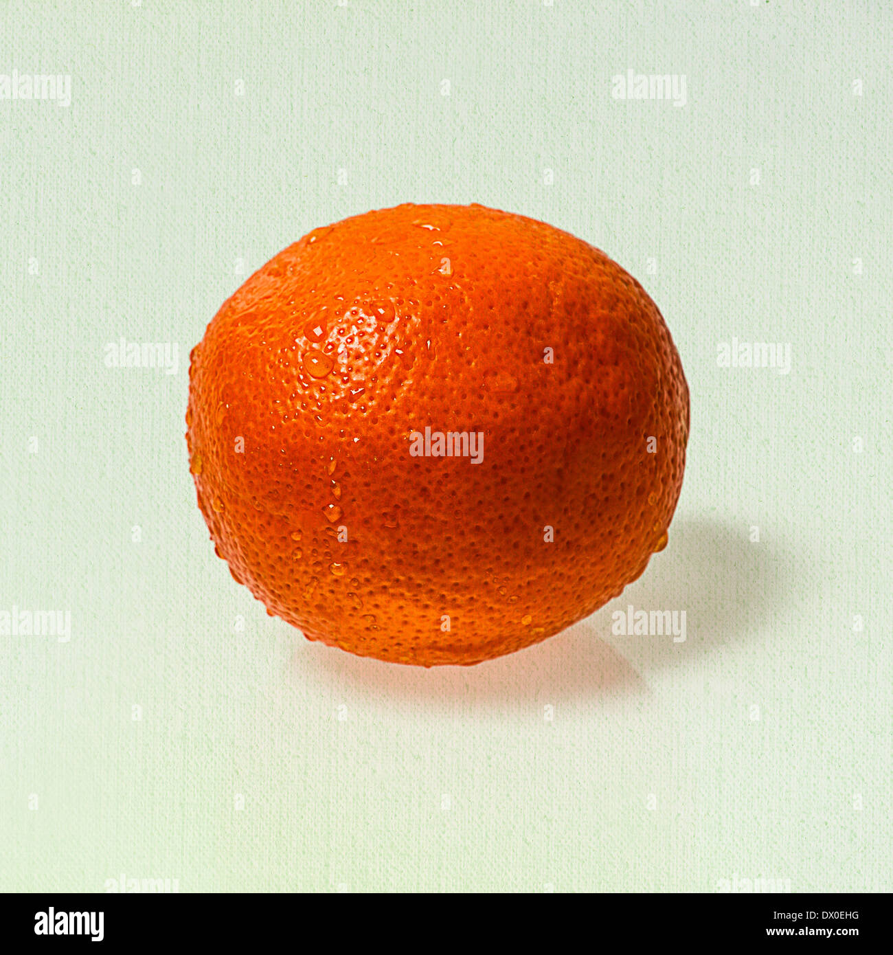 Orange. Washed orange, drops of water on the skin. Added light green ...