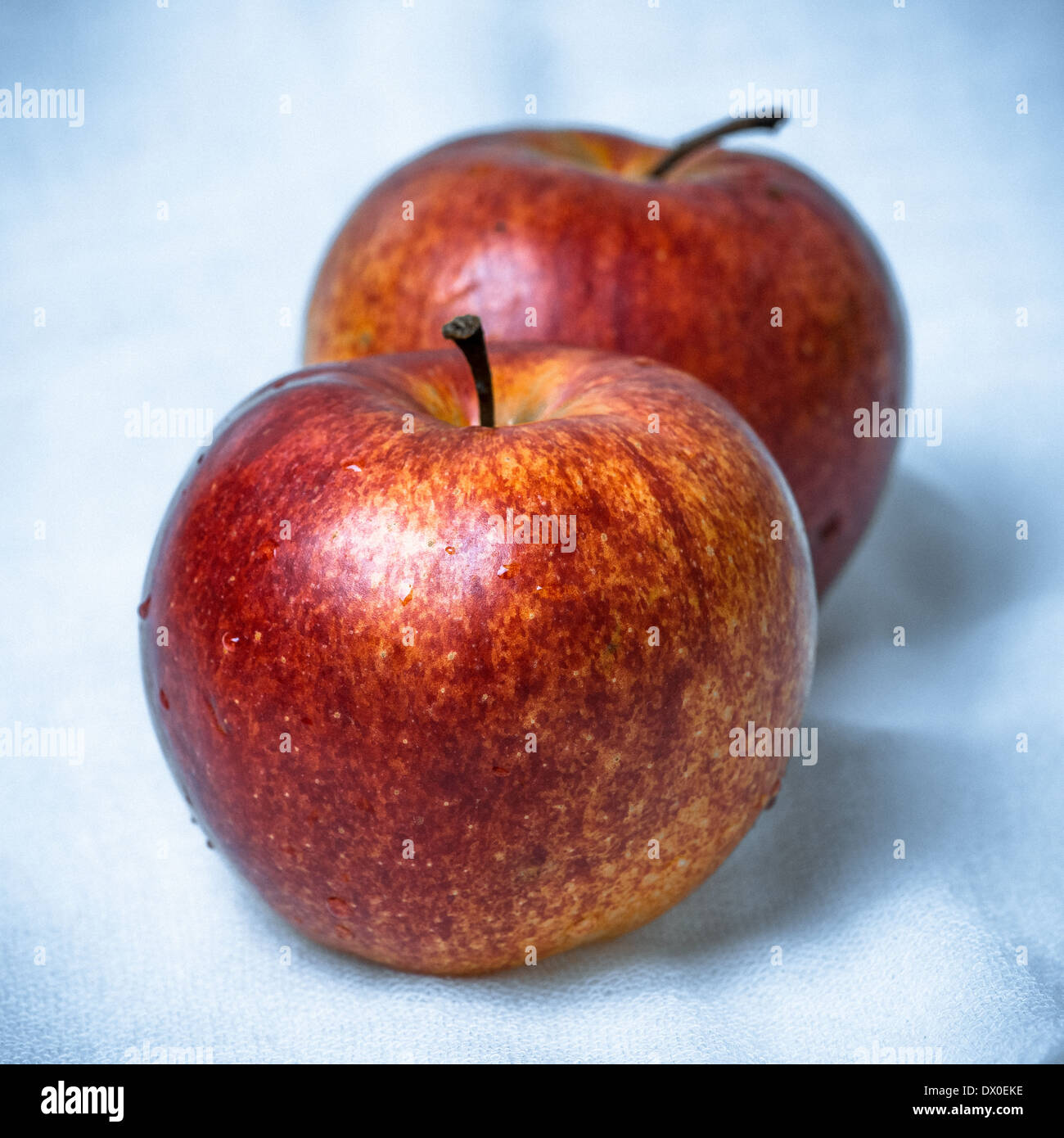 Two red apples against textured blue and white background. Square ...