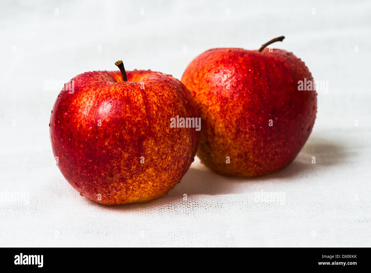 Two red apples against textured white and gray textile background ...