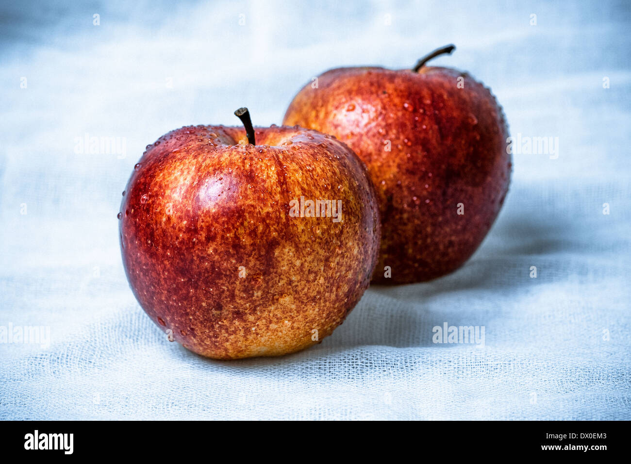 Two red apples against textured blue and white background. Rectangular ...