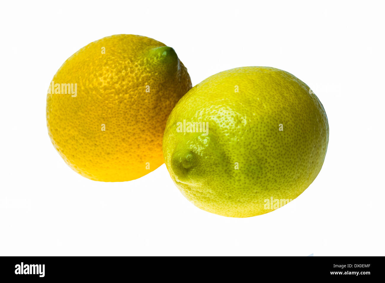 Two lemons of yellow color isolated against white background. No shadow ...