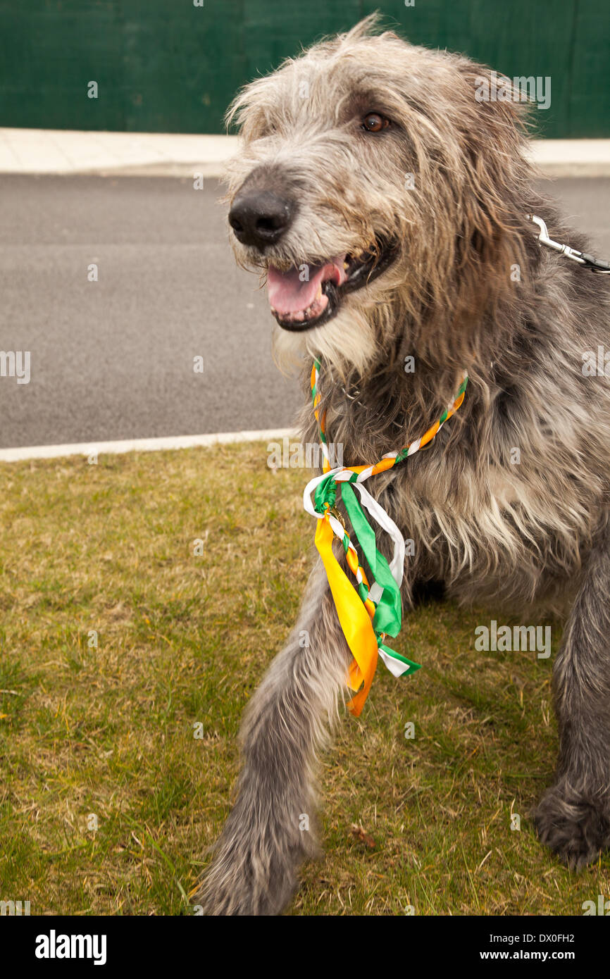 National feast day 17th march hi-res stock photography and images - Alamy