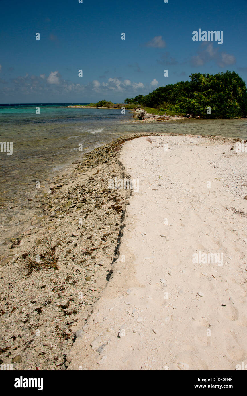Belize, Caribbean Sea, Stann Creek District near Placencia. Laughing ...