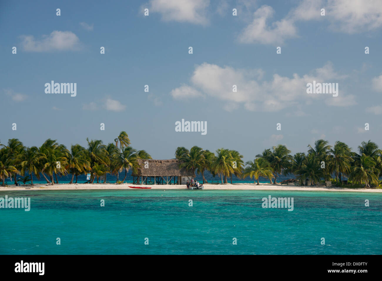 Belize, Caribbean Sea, Stann Creek District near Placencia. Laughing ...