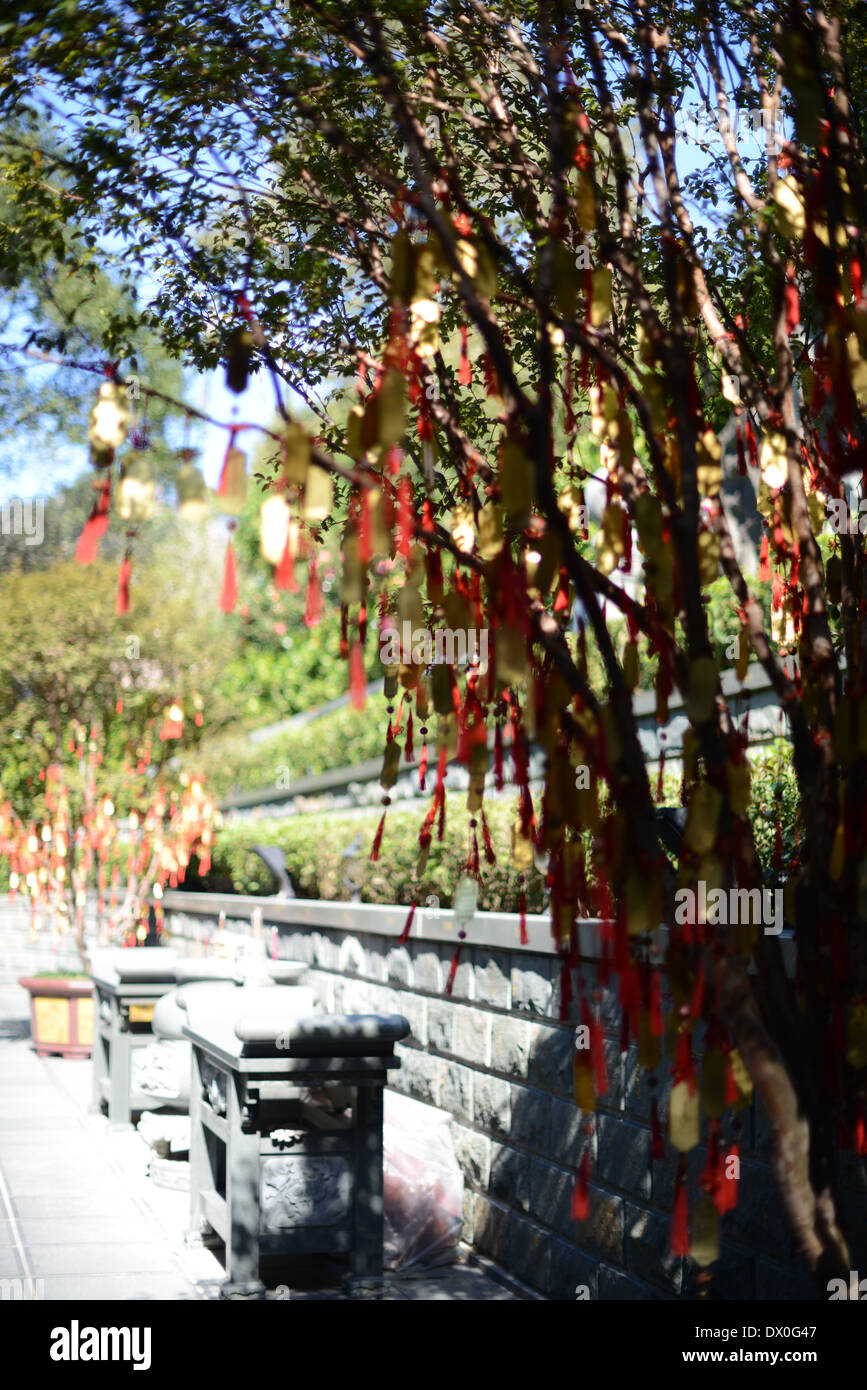 A 'wishing' tree. Taken in Taiwan Stock Photo - Alamy
