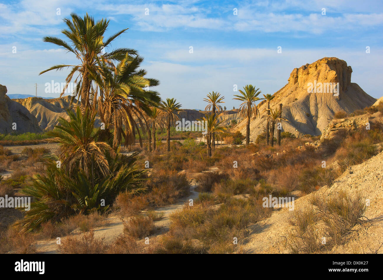 Desierto de Tabernas Stock Photo - Alamy