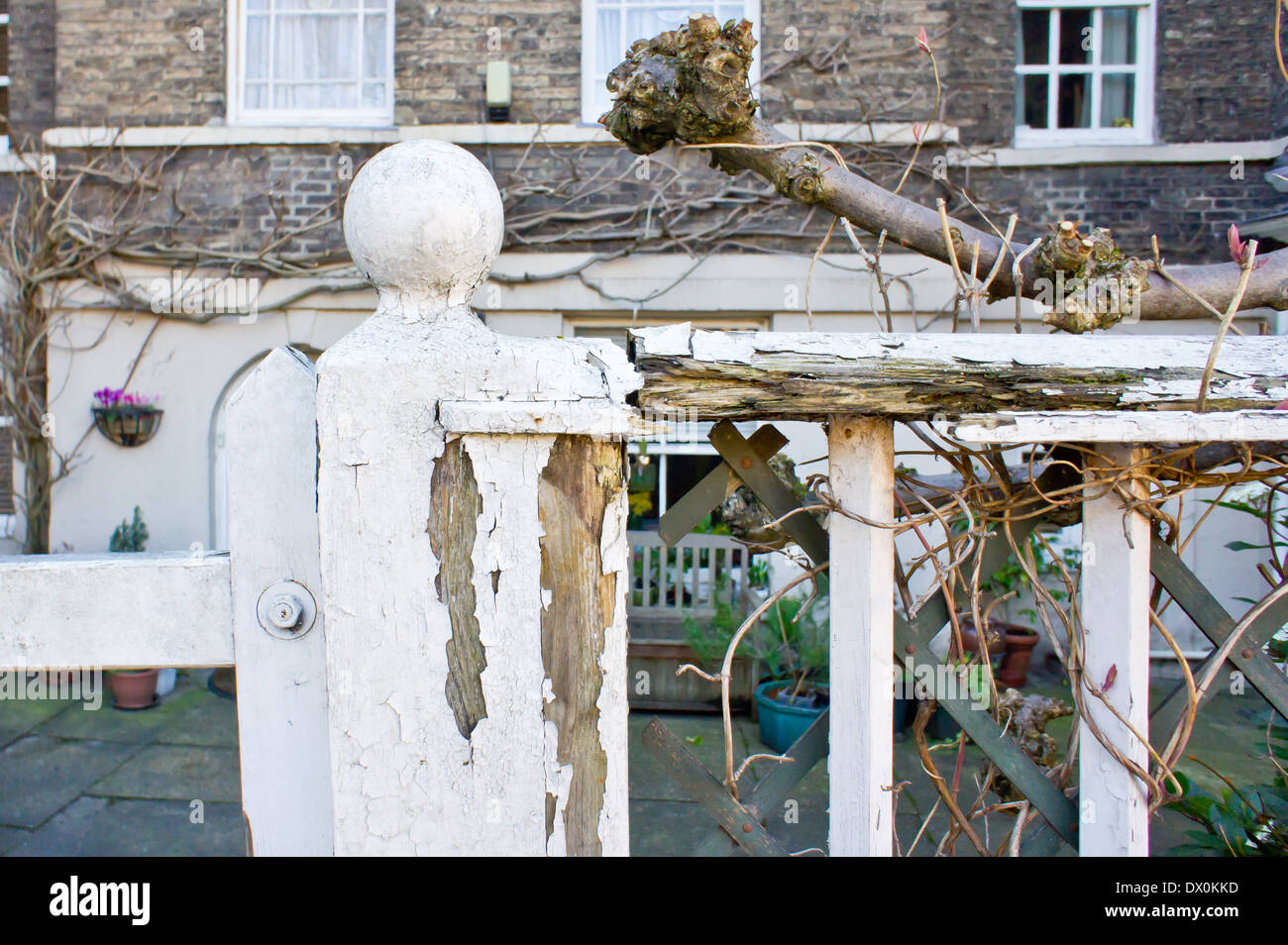 Snapped wood close up hi-res stock photography and images - Alamy