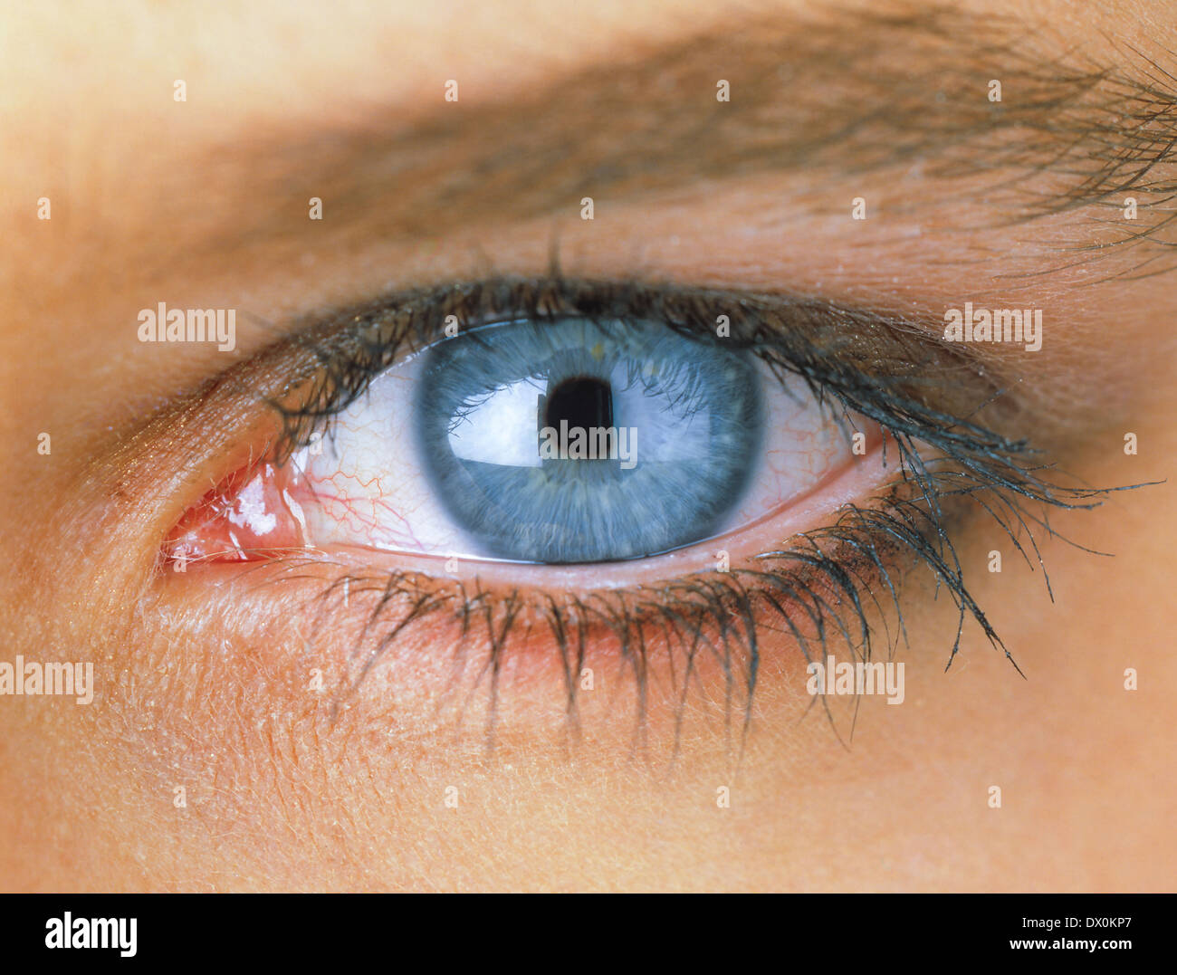 Woman female eye organ hi-res stock photography and images - Alamy