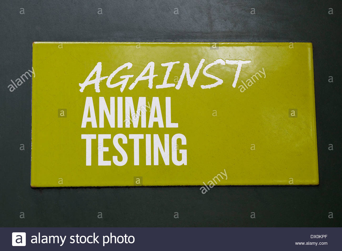 Against Animal Testing High Resolution Stock Photography and Images - Alamy