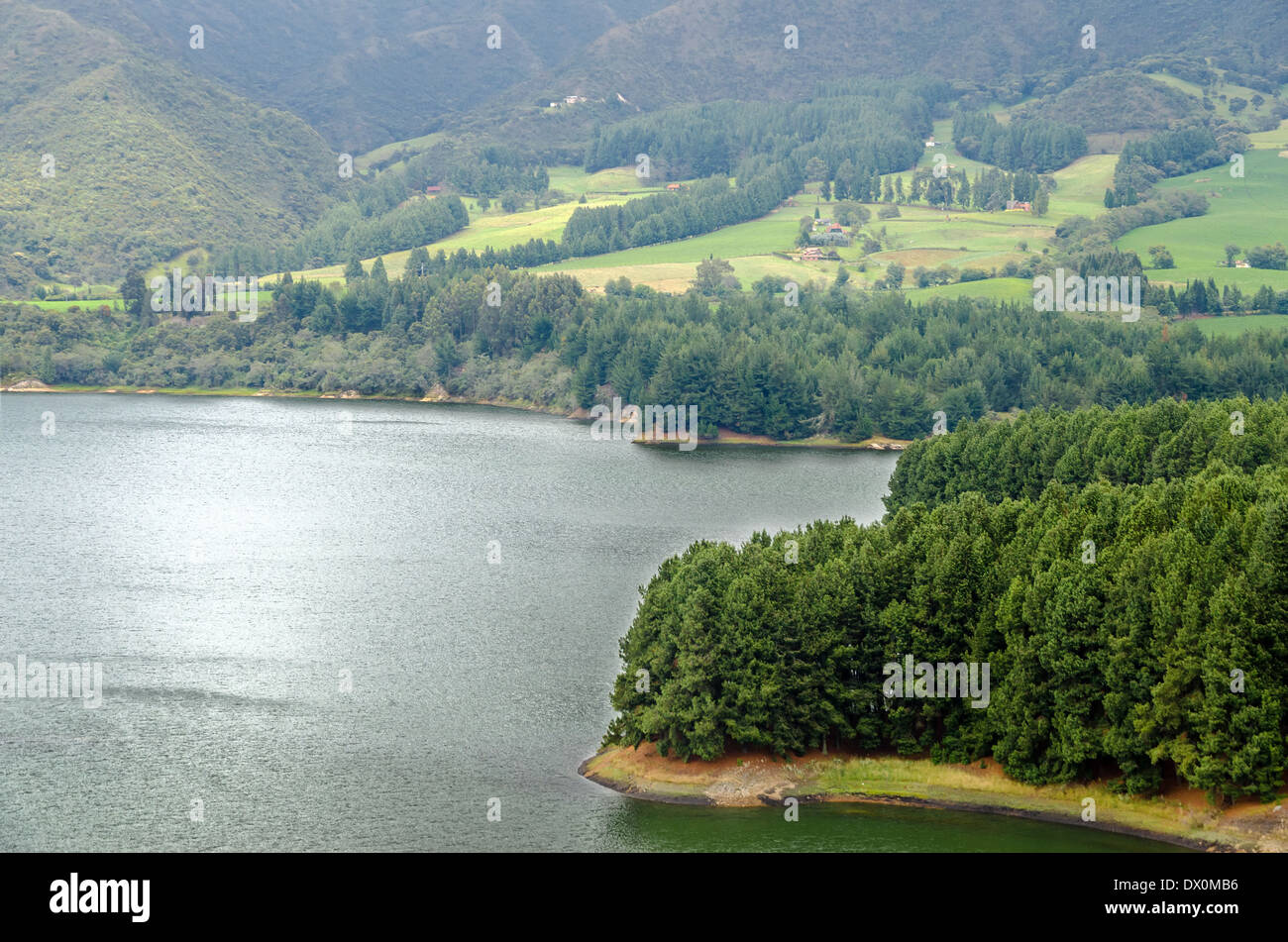 View of a wooded island in lake in Neusa, Colombia Stock Photo - Alamy
