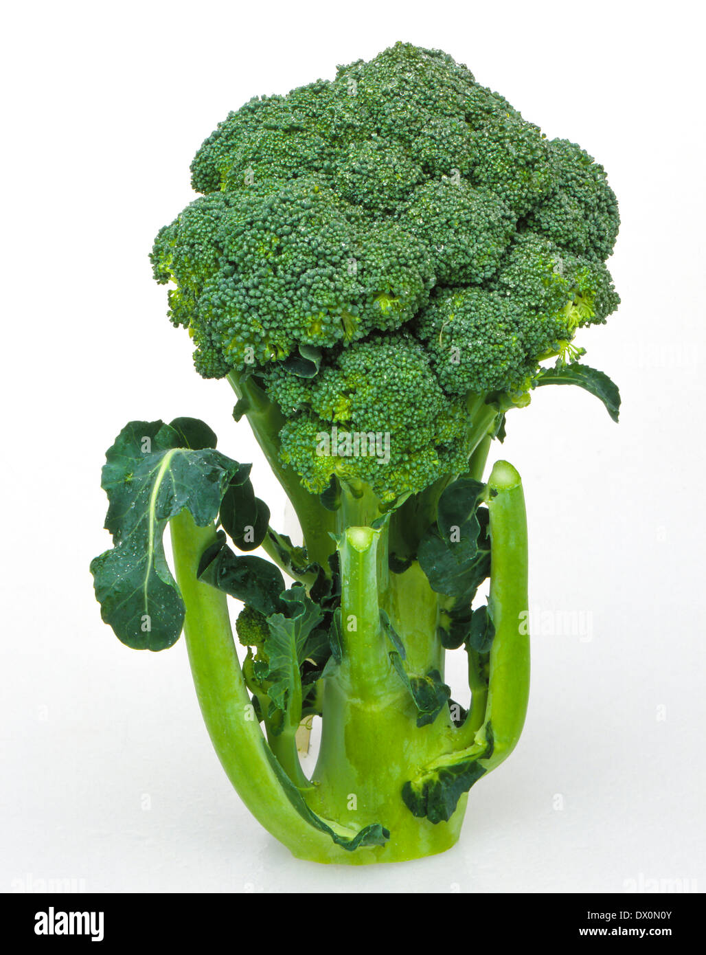 Healthy vegetables, broccoli (Brassica oleracea Stock Photo - Alamy